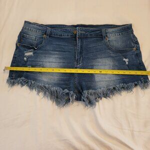 Shorts | Ripped And Washed Design Jean Shorts Nwot | Poshmark
